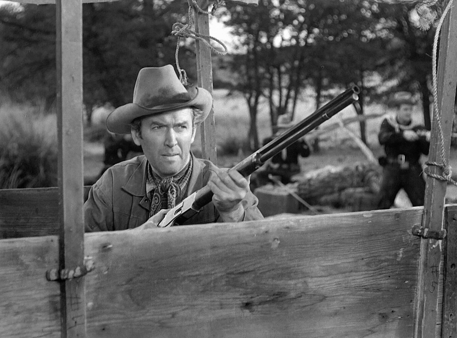 The Guns That Won the West